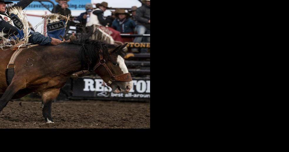 Stevensville bareback rider Richmond Champion to enter Tarleton State ...
