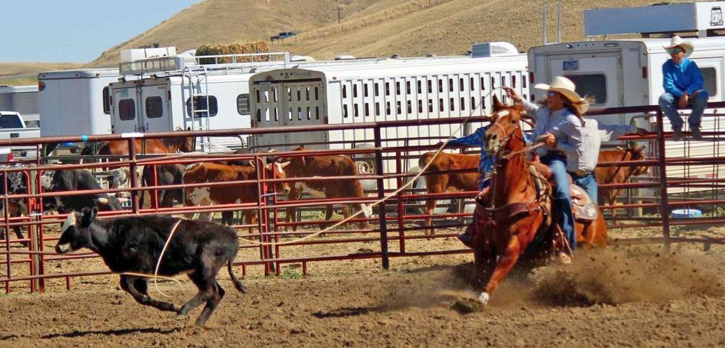 3 Montana high school rodeo standouts sign NLIs
