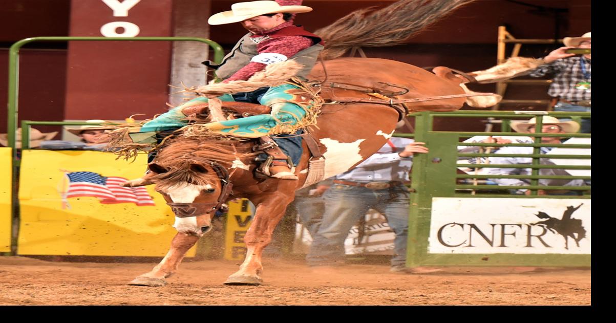 Tyler Turco Grizzlies' last best chance at a national title for 2017-18