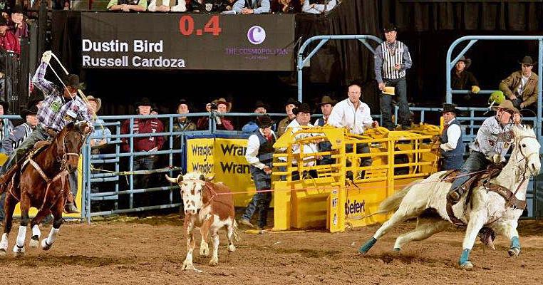 Road to the NFR: Dustin Bird ropes his way into National Finals Rodeo
