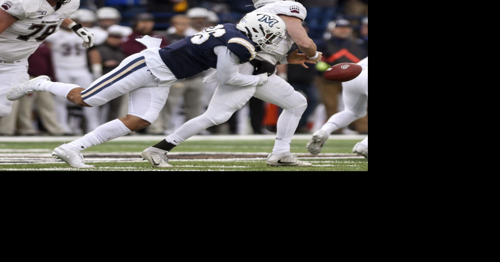 A breakdown of Montana State's defensive linemen before the 2021 season