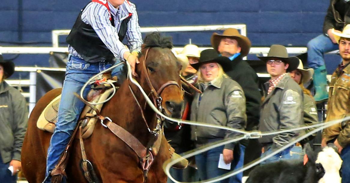 Western's Turk, Snider lead through first day of Montana State spring rodeo