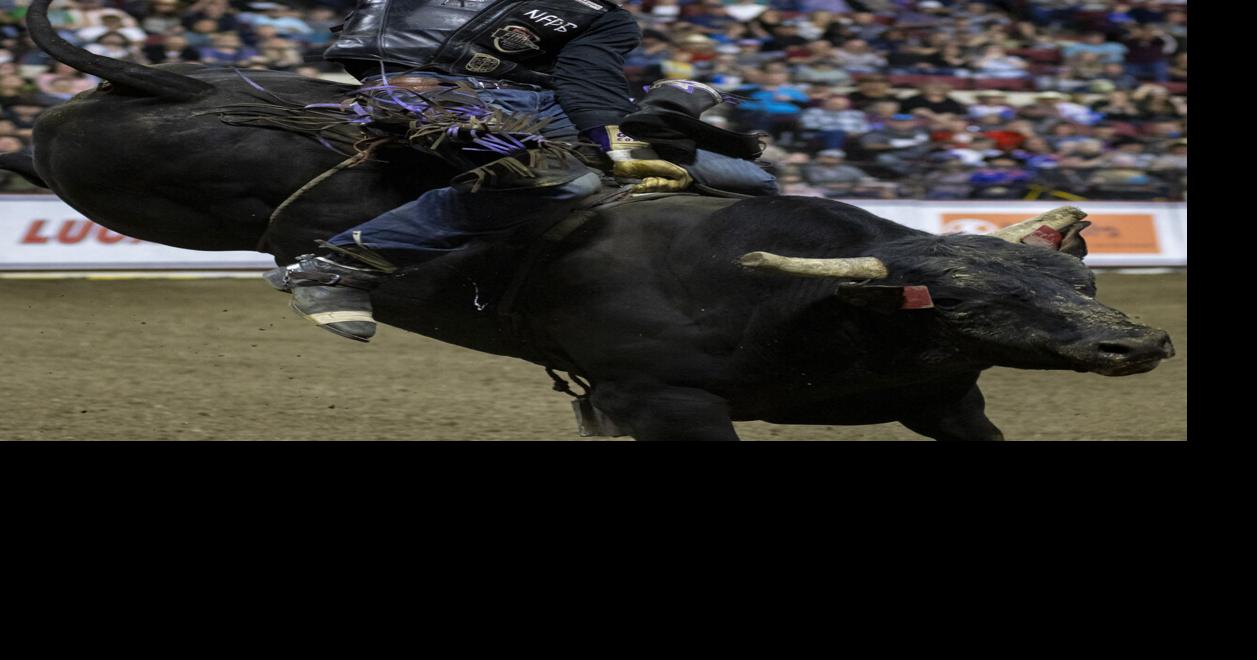 Bob Mitchell chasing PBR rookie honors; Dakota Louis the co-leader ...