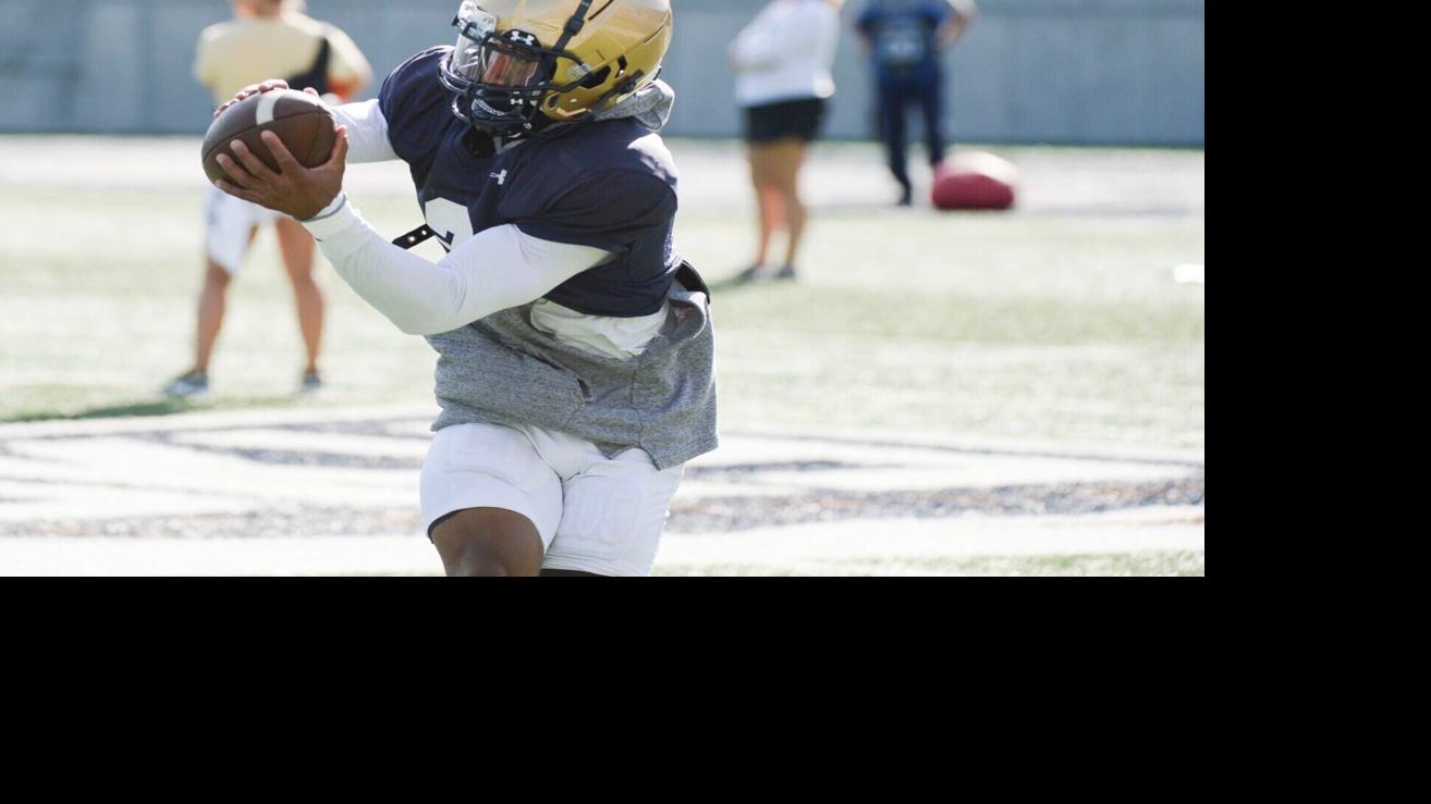 Montana State University Bobcats | 406mtsports.com