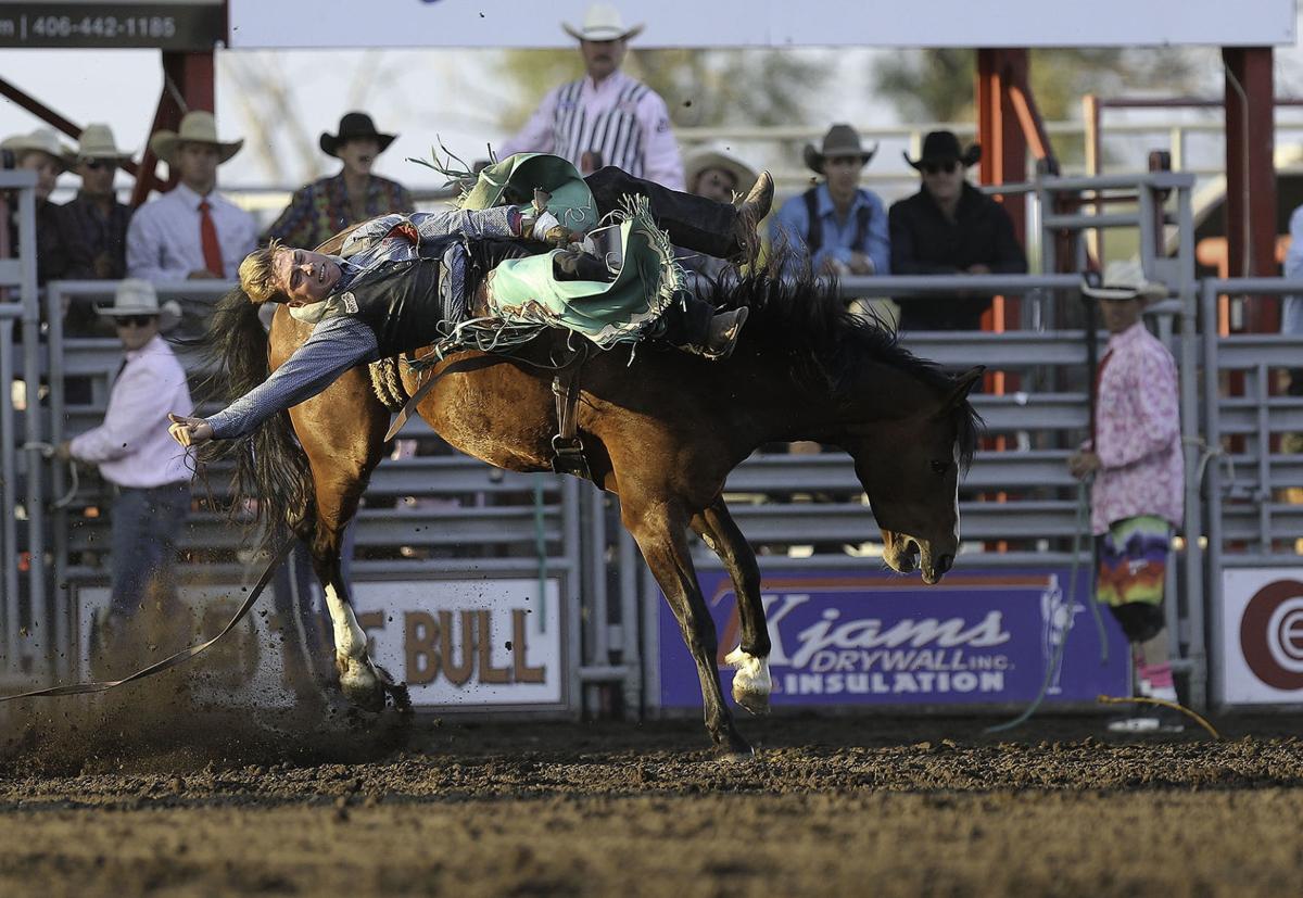 Cache Hill cashes in at Last Chance Stampede during his first year in ...