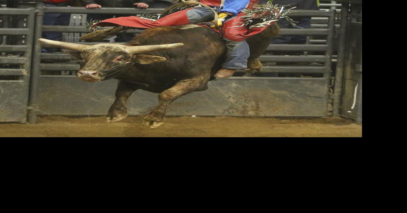 Big Sky rodeo programs clash at Montana State this weekend