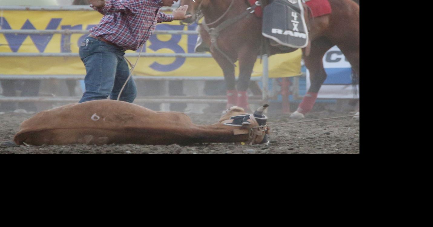 Montana's Jason Evans chasing PRCA steer roping world title