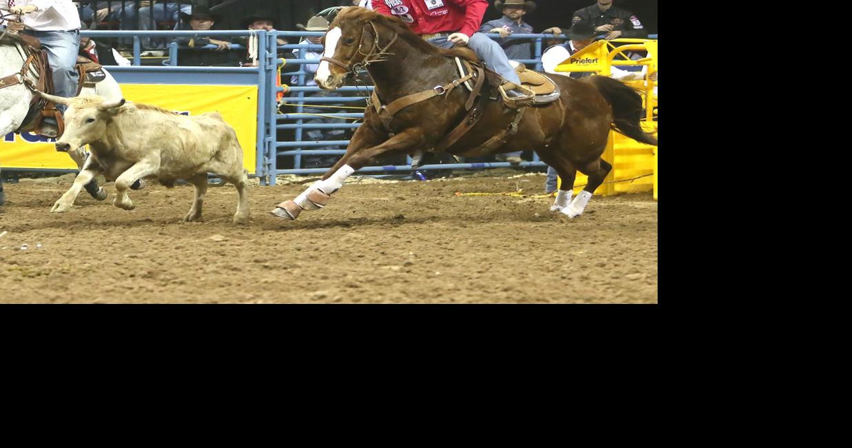 Helena steer wrestler Ty Erickson stumbles in 9th round at National ...