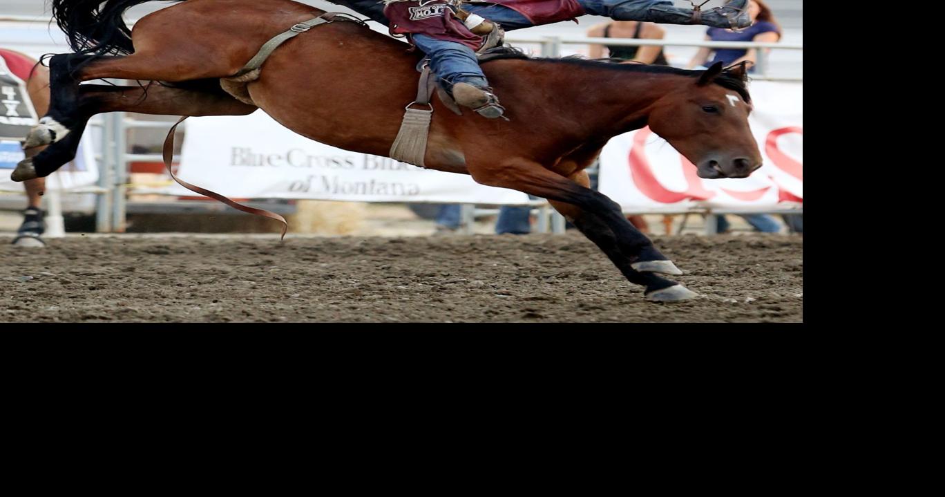 Tucker Zingg doubles his rodeo fun this summer