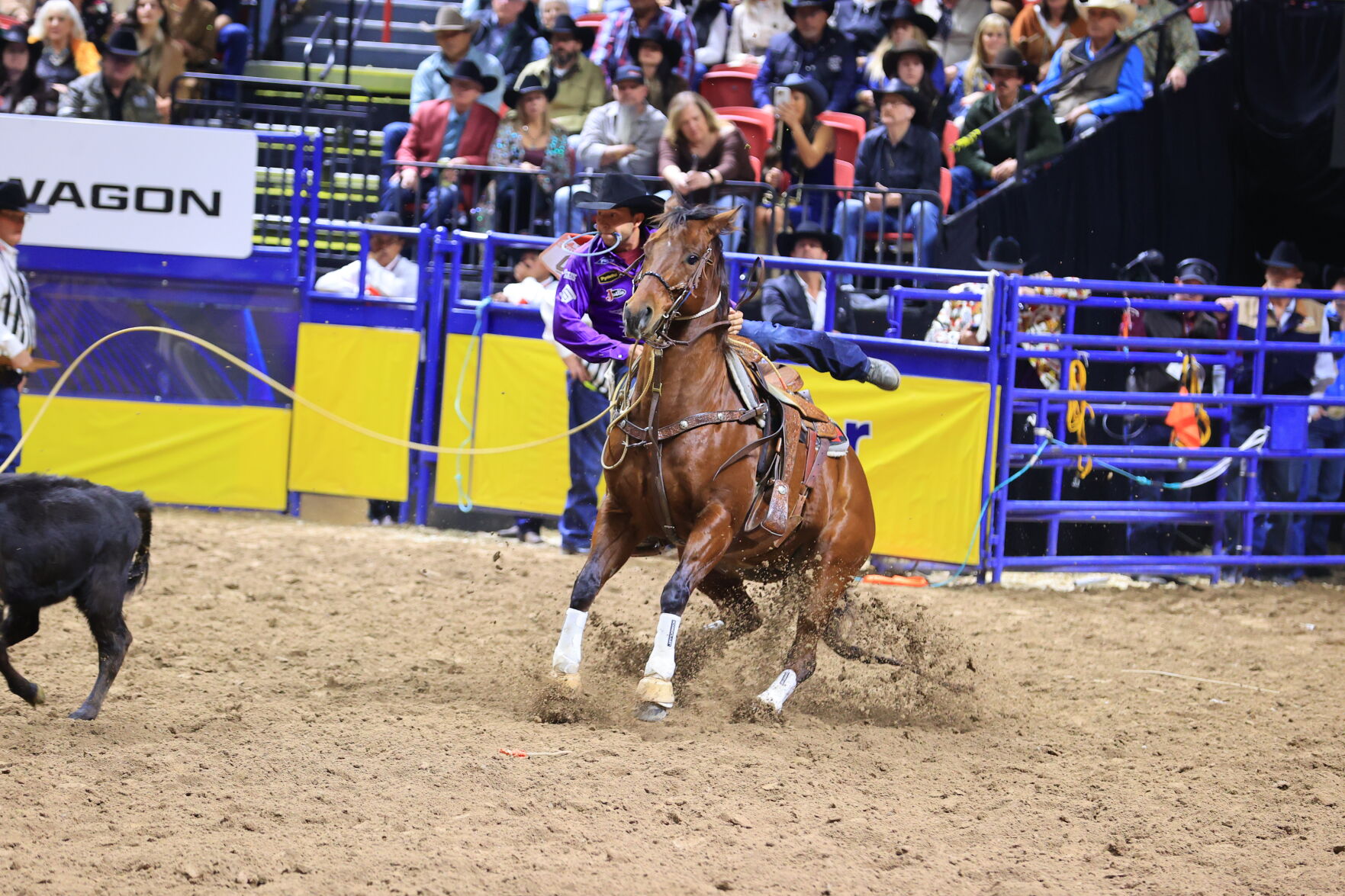 Montanans compete at the 2025 National Finals Rodeo