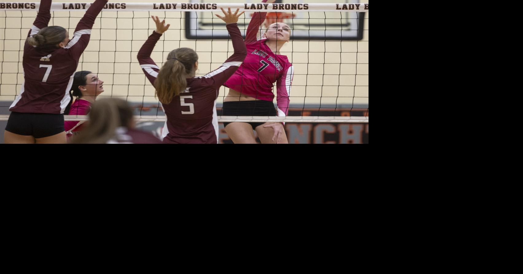 Frenchtown defeats Hamilton in volleyball, 3-0