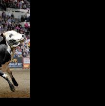 Browning's Dakota Louis proves he belonged in star-studded bull riding ...