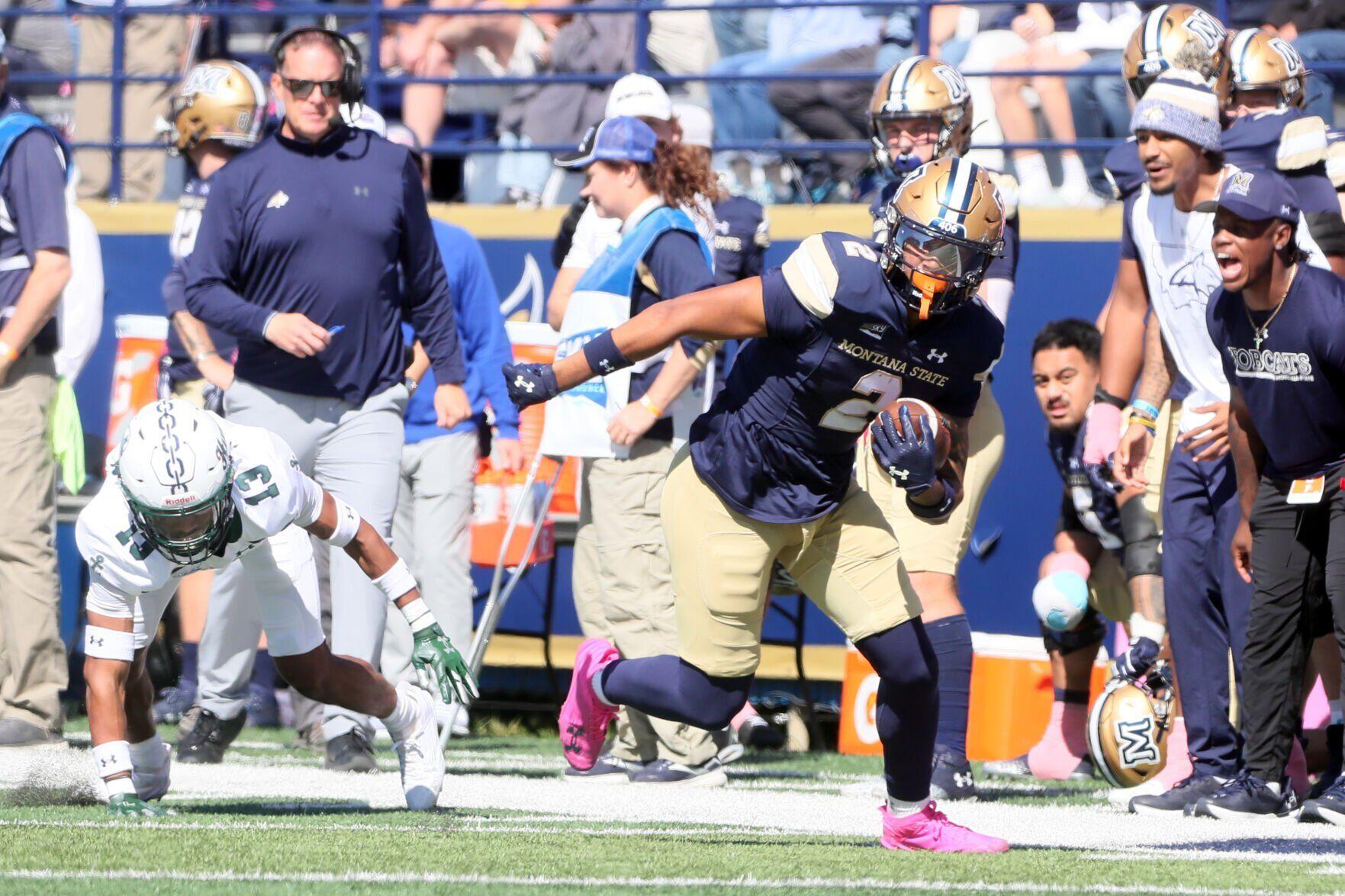Montana State football dominates Mercyhurst in all 3 phases
