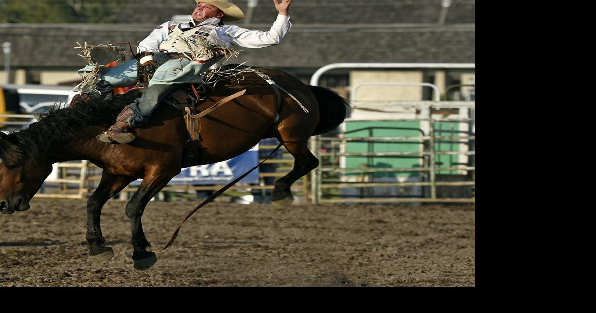 Missoula Stampede: Stevensville's Champion surges to lead in bareback ...