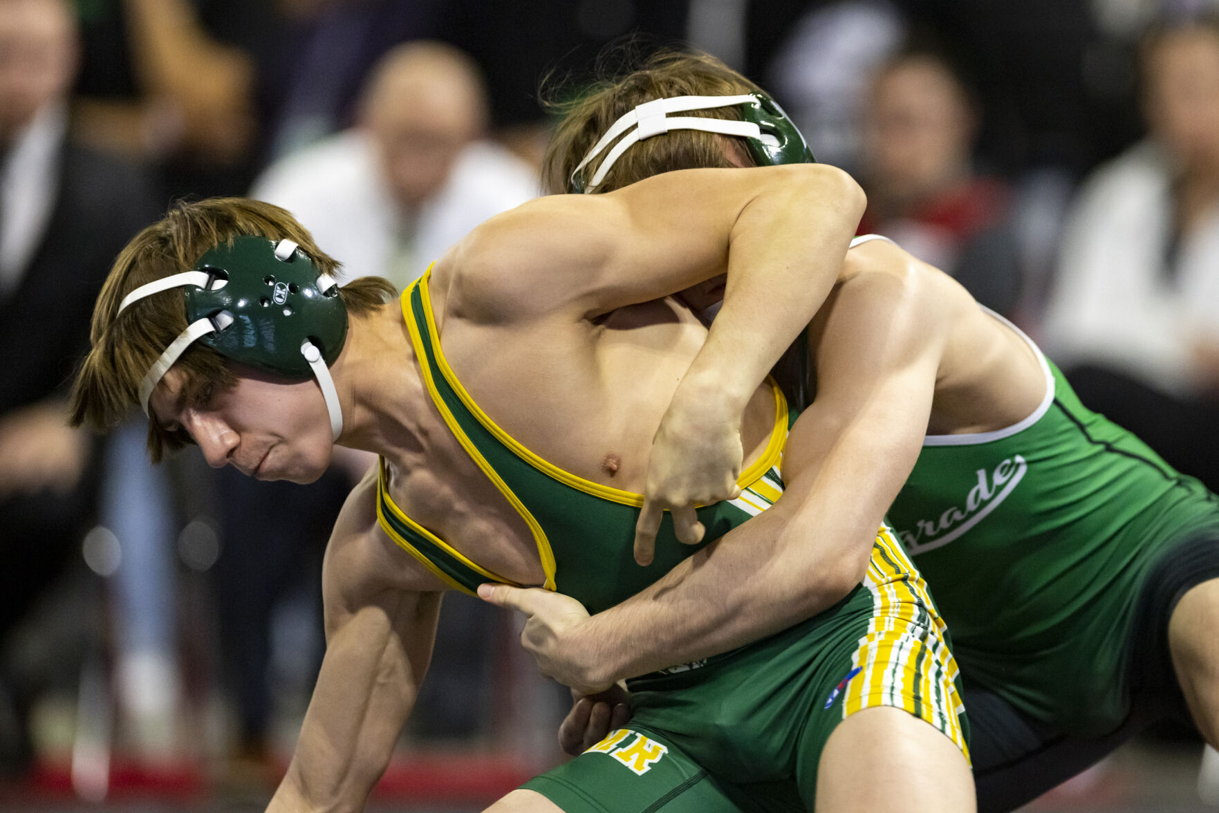 Great Falls Bison wrestlers again strong, CMR on the rise