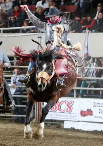 Brody Cress continues hot streak with Chase Hawks saddle bronc win
