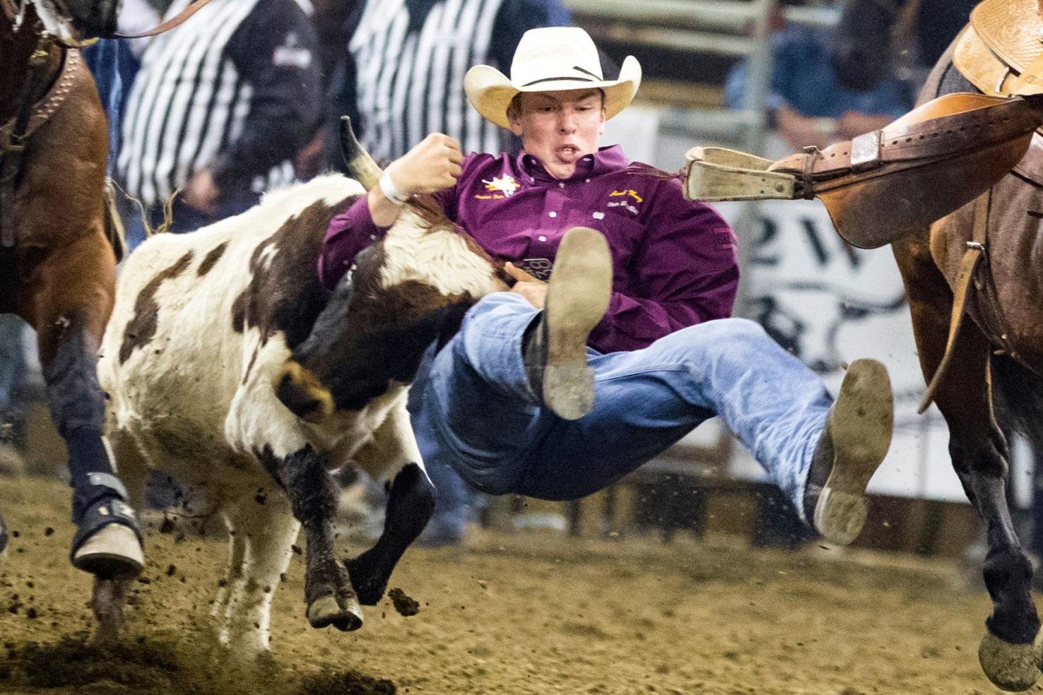 Bozeman teenage roper continues climb on professional rodeo ladder