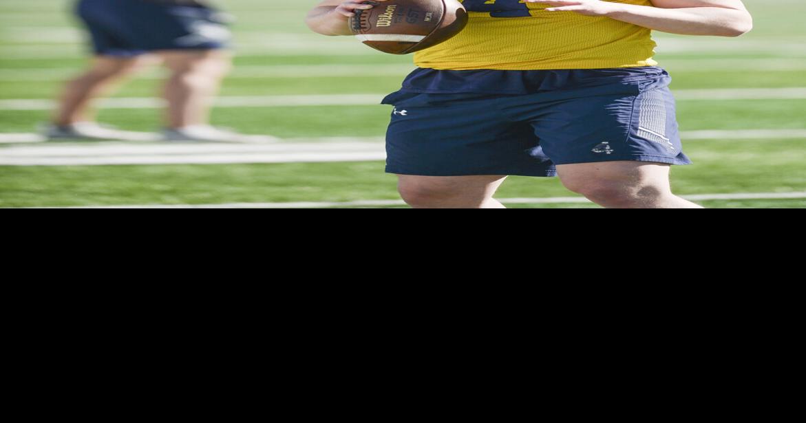 Montana State QB Tommy Mellott nearing full strength, focused on ...