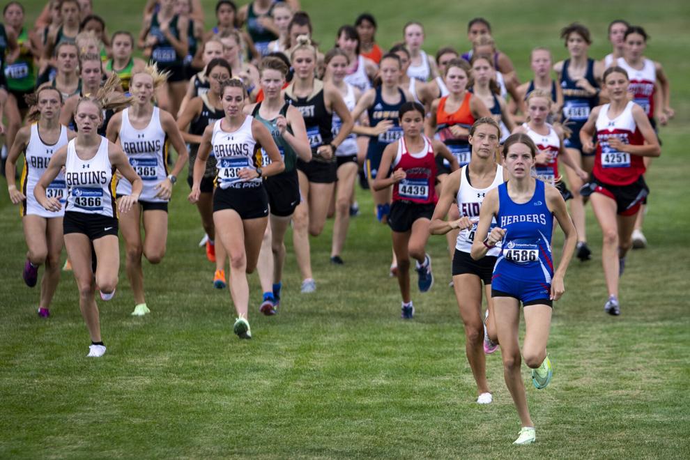 Bozeman Gallatin's Carson Steckelberg and Big Timber's Natalie Wood run ...