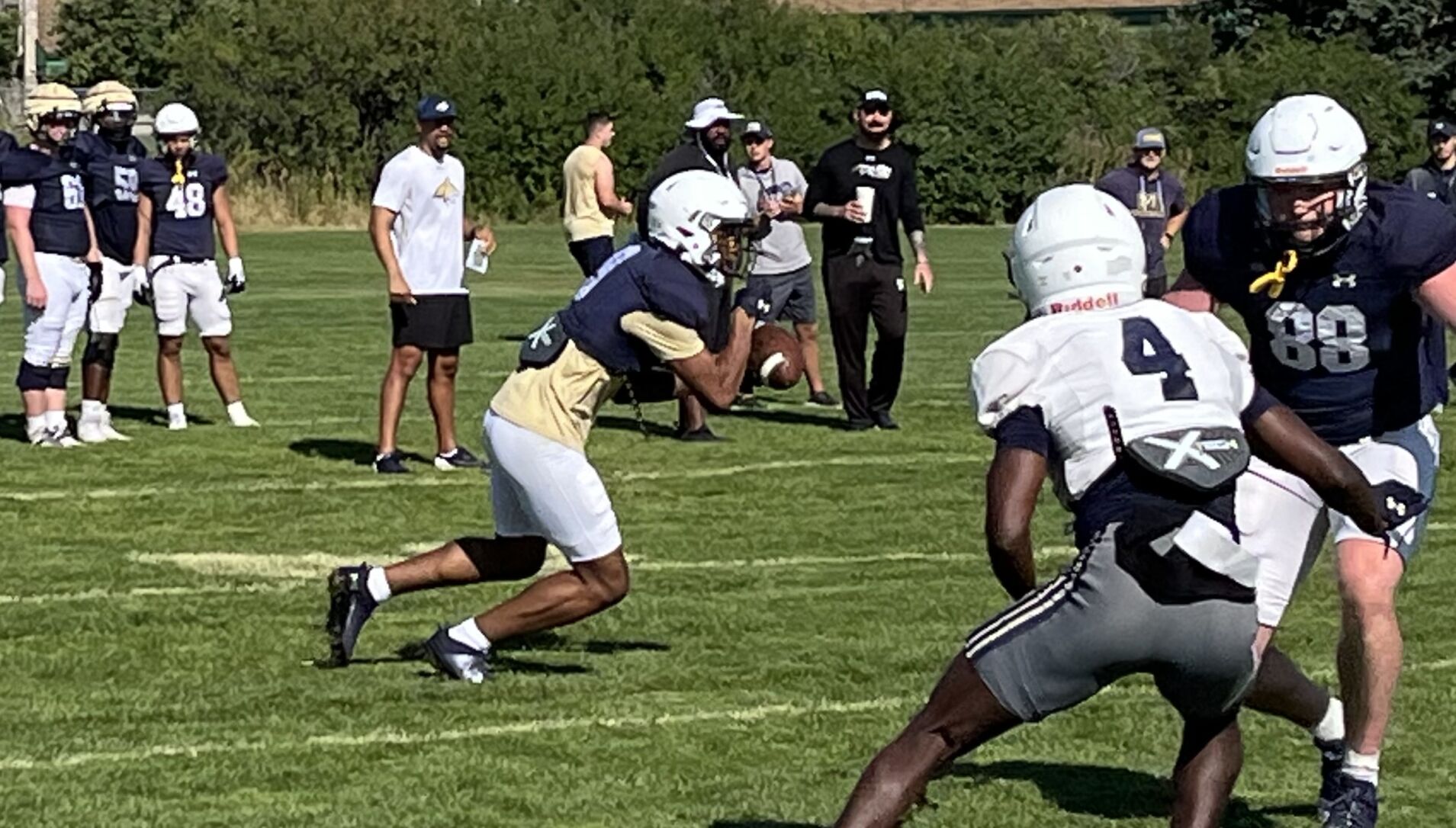 Ryan King welcomes 'change of scenery' at Montana State