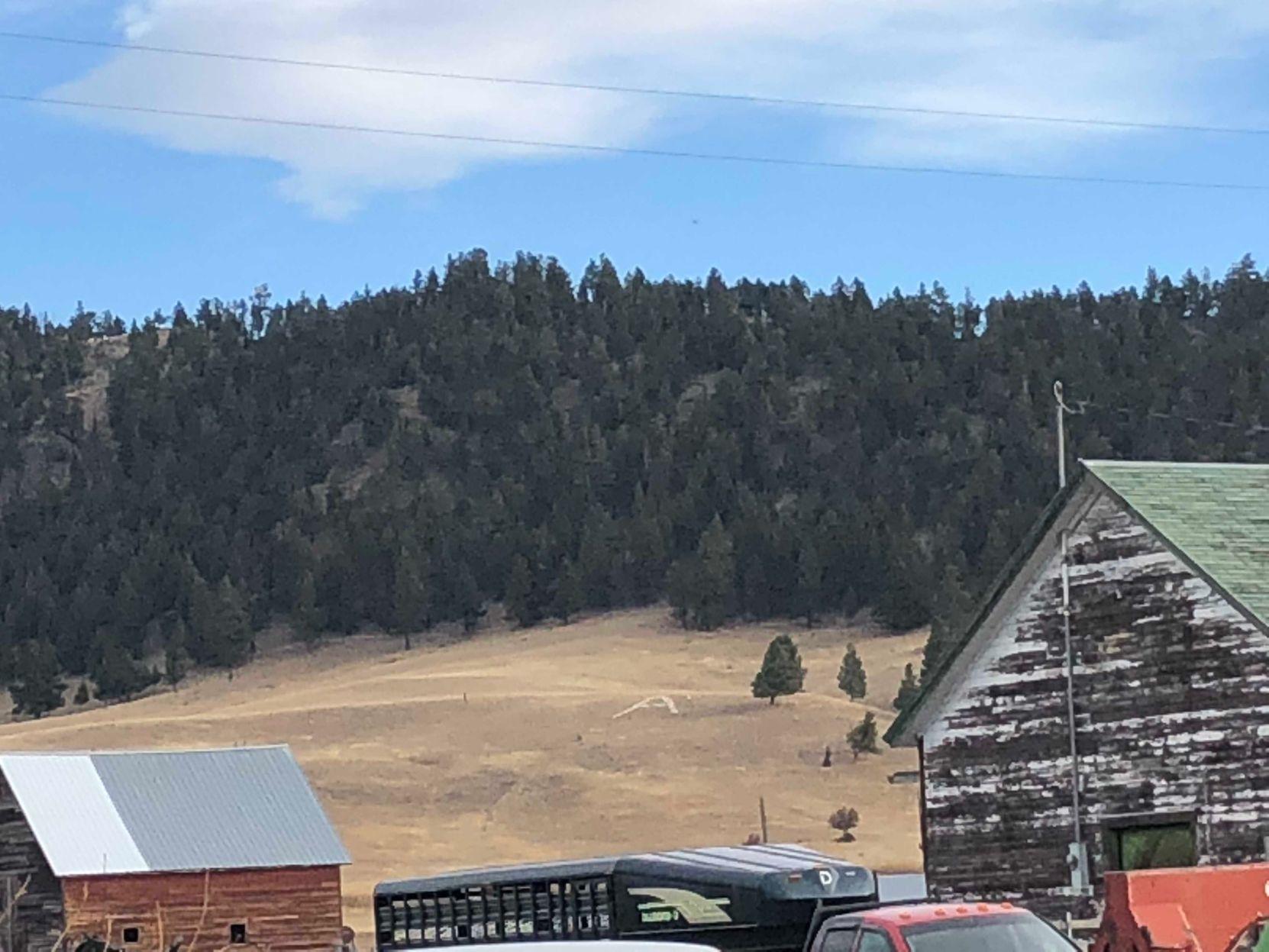 Photos of Montana's hillside letters