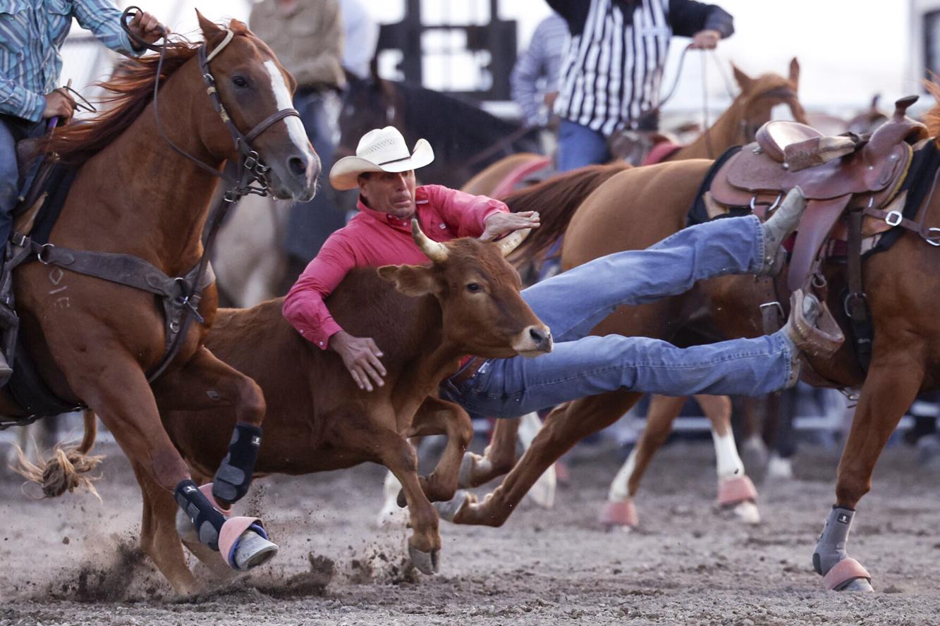 2025 PRCA Montana Pro Rodeo Circuit results