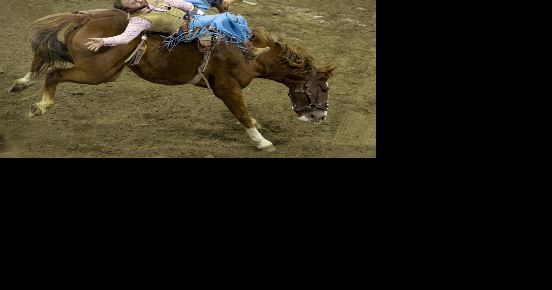 Photos: NILE Stock Show and Rodeo