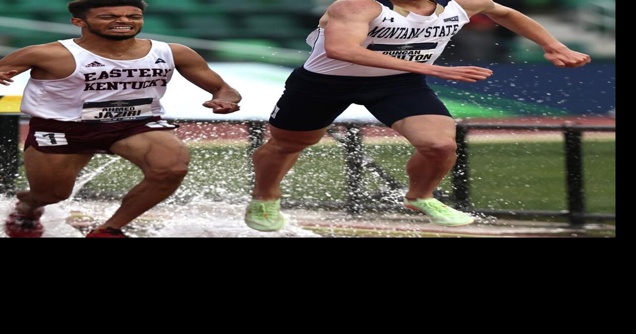 Montana State's Duncan Hamilton named Big Sky men's track athlete of week