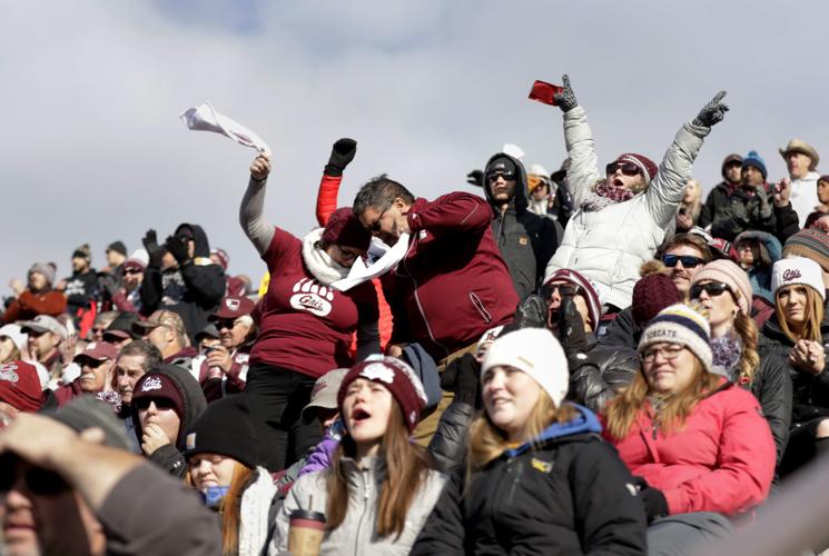 Montana Grizzlies experience modest gains in football ticket sales ...