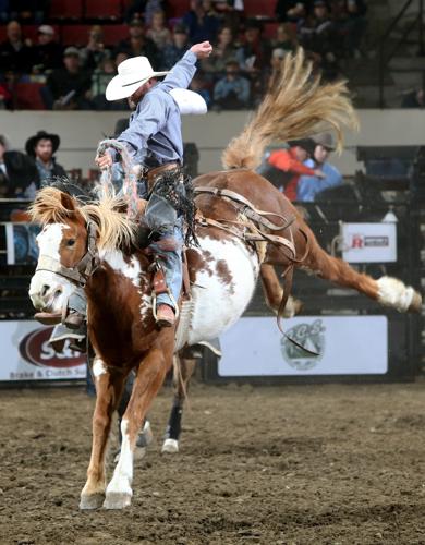 Brody Cress continues hot streak with Chase Hawks saddle bronc win