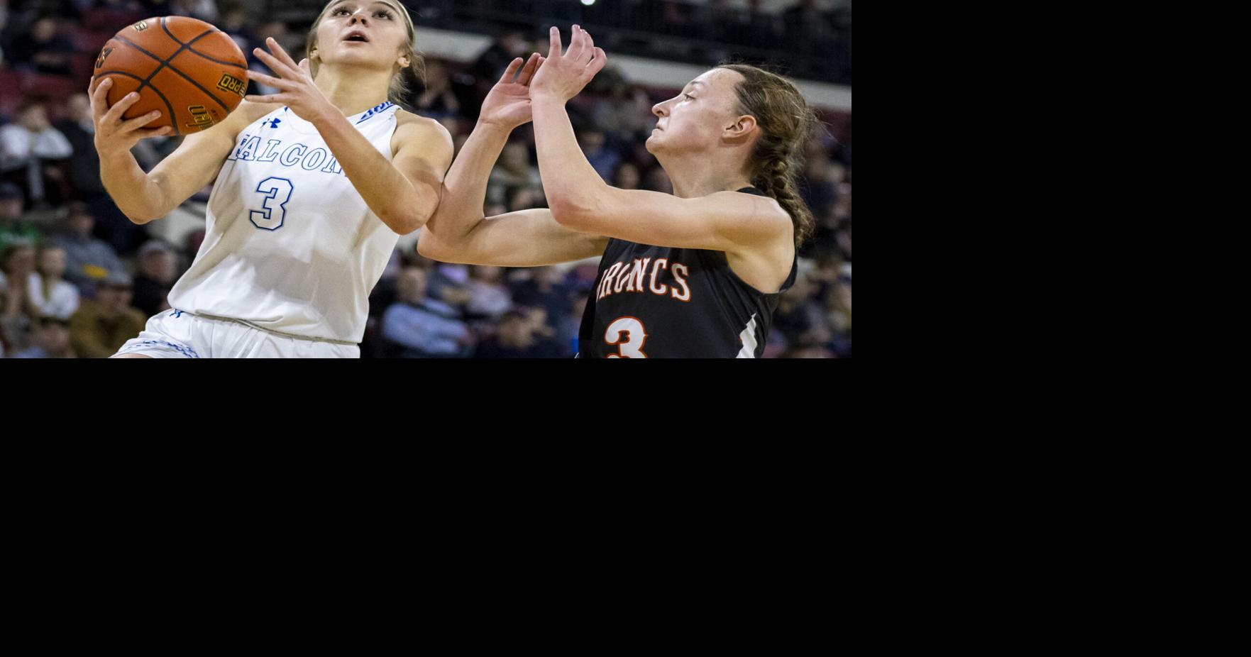 Billings Skyview grad Brooke Berry leaves New Mexico basketball over ...