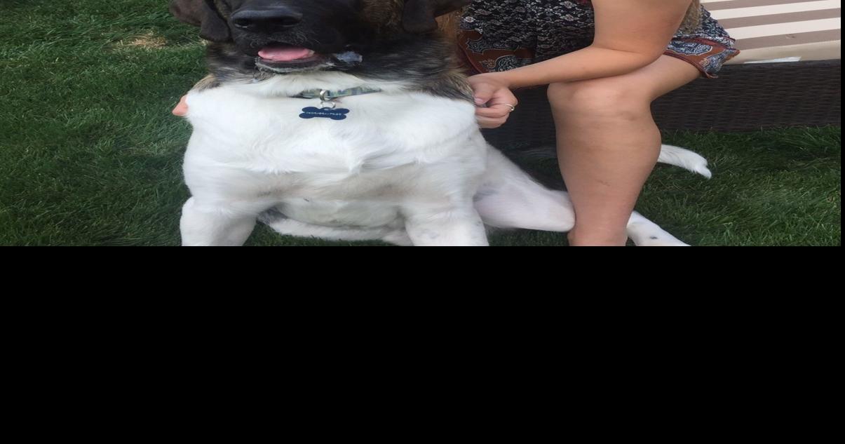 Hang 10 with Billings Skyview's Jenny English