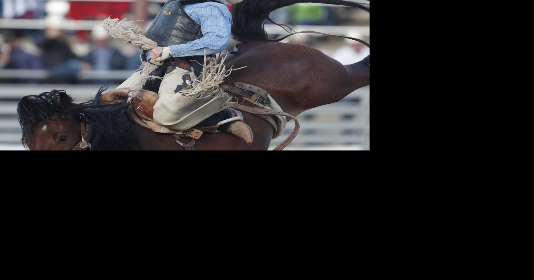 Missoula Stampede: Bronc-riding Brooks brings hot streak to rodeo