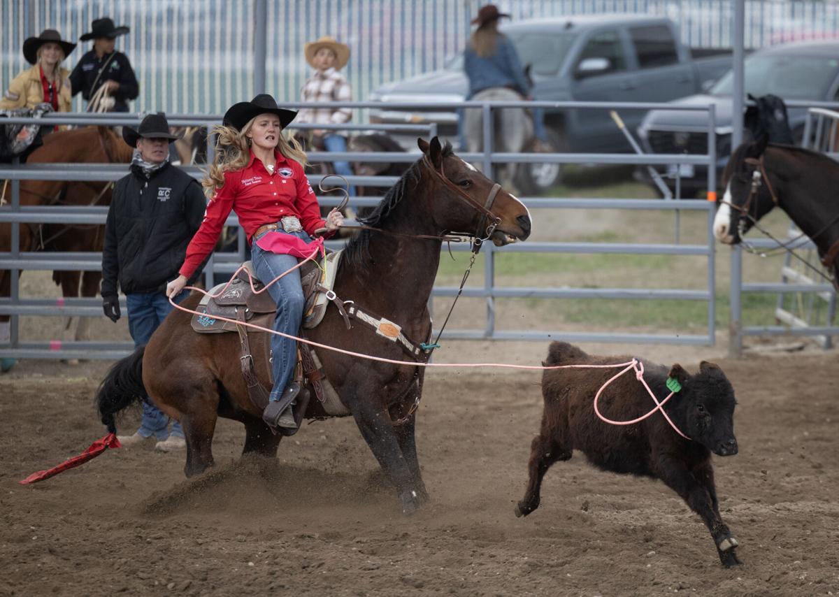 Guide to the 2024 Montana High School Rodeo Finals