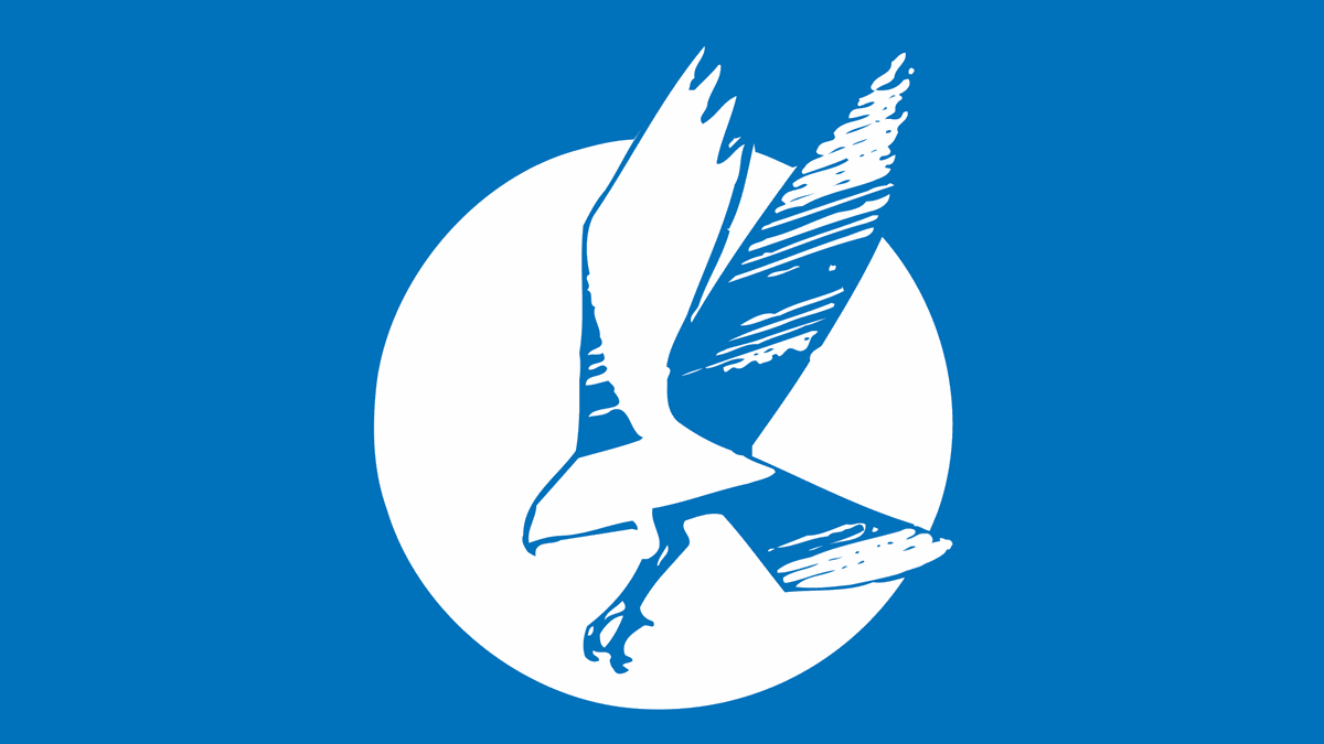 skyview falcons logo