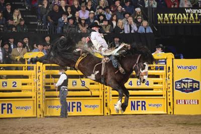 Stevensville bareback rider Richmond Champion seeking gold in NFR