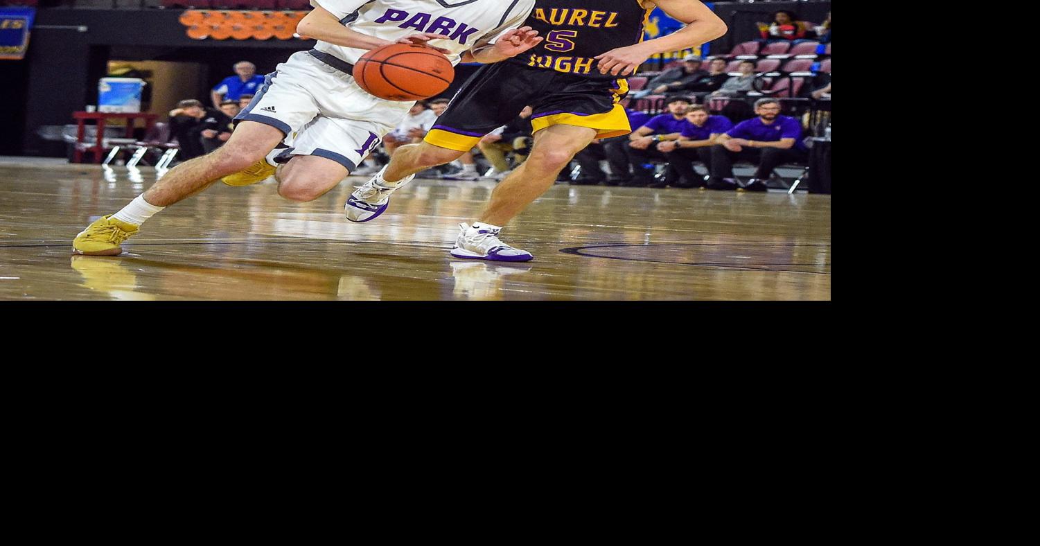 Brendon Johnson's 29 points lead Livingston to upset win over No. 2 ...