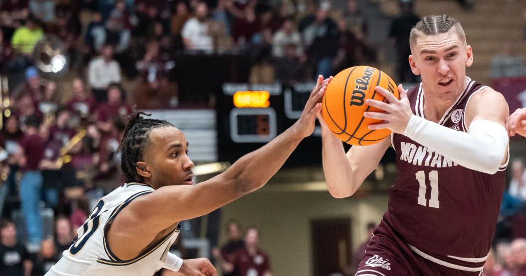 Griz, Cats receive hardwood honors