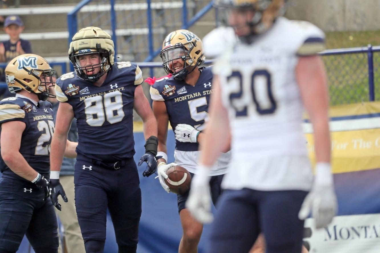 Montana State backups enter portal, Gray stays with Bobcats
