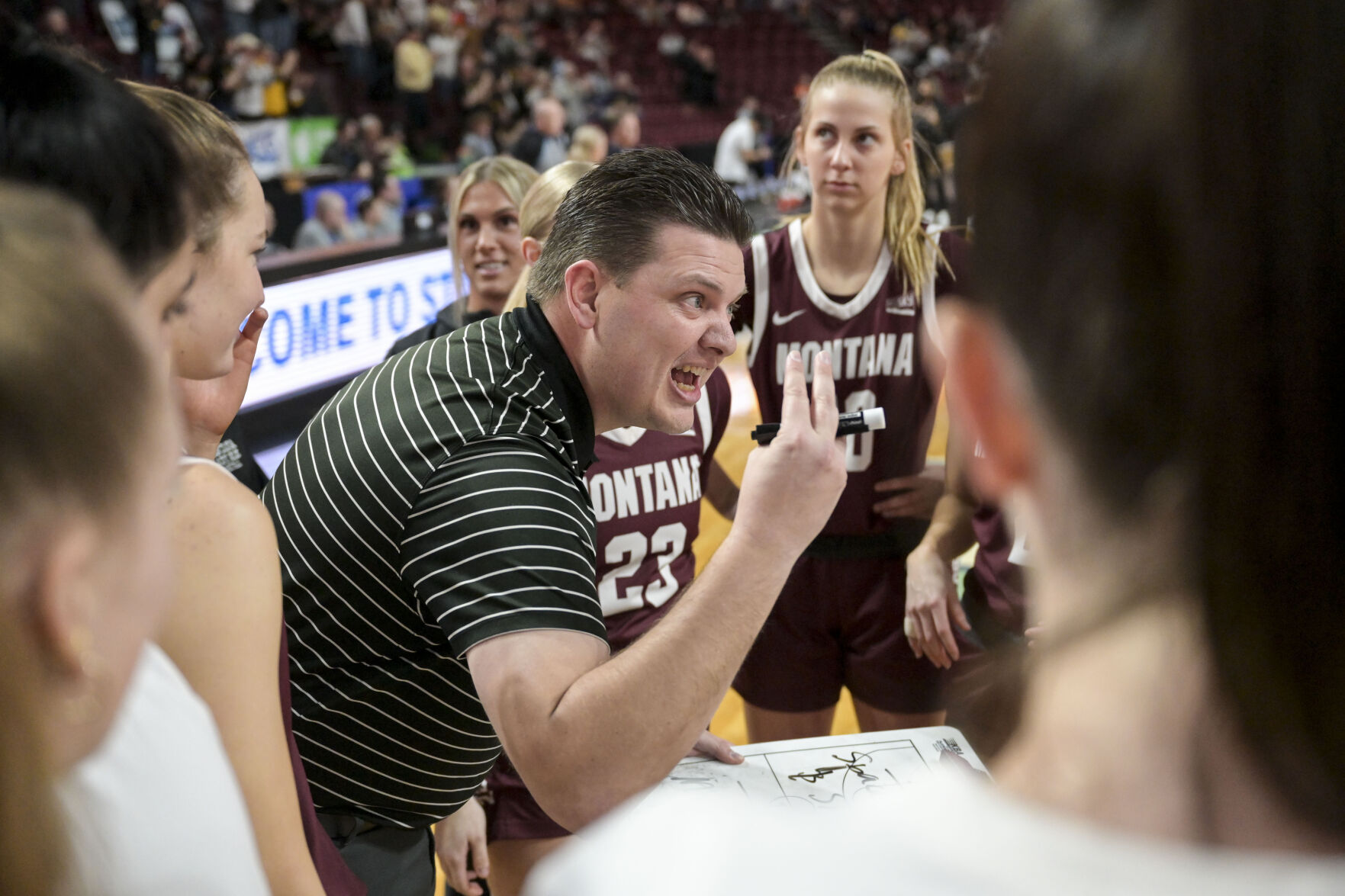 Nate Harris named Montana Lady Griz head coach