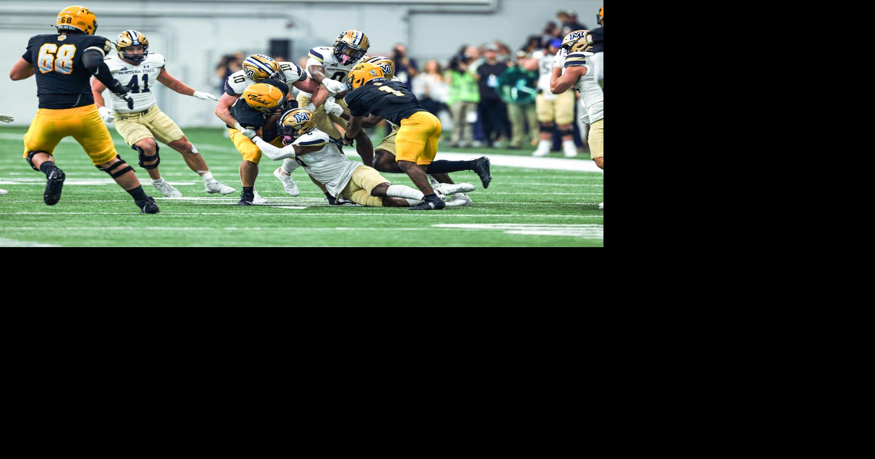 Montana State Bobcats fall at Idaho in week 9