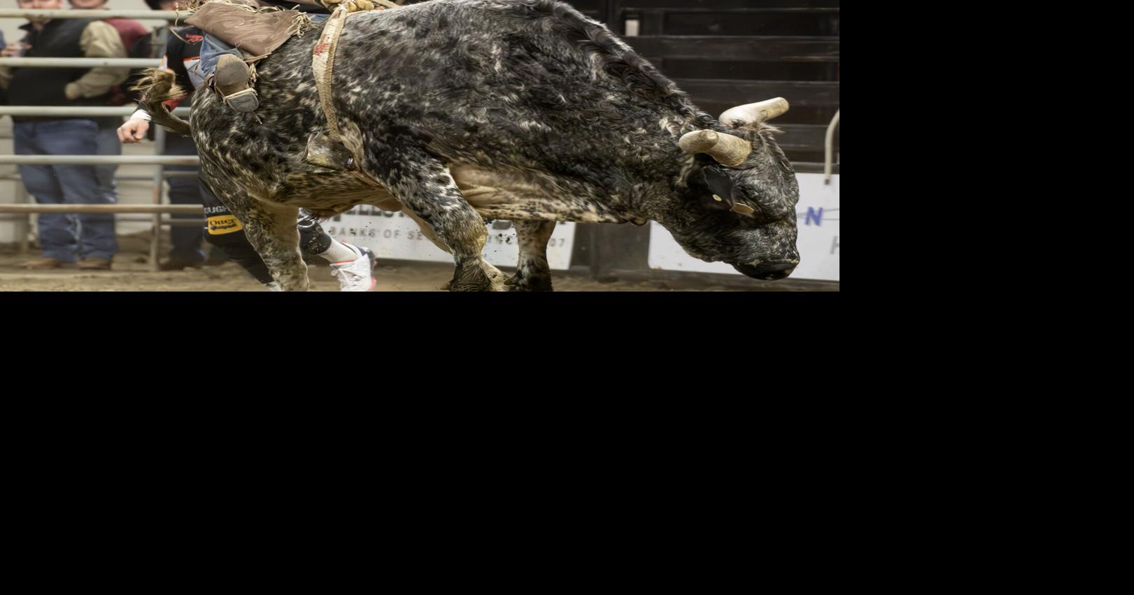 Photos: 2023 Chase Hawks Rodeo