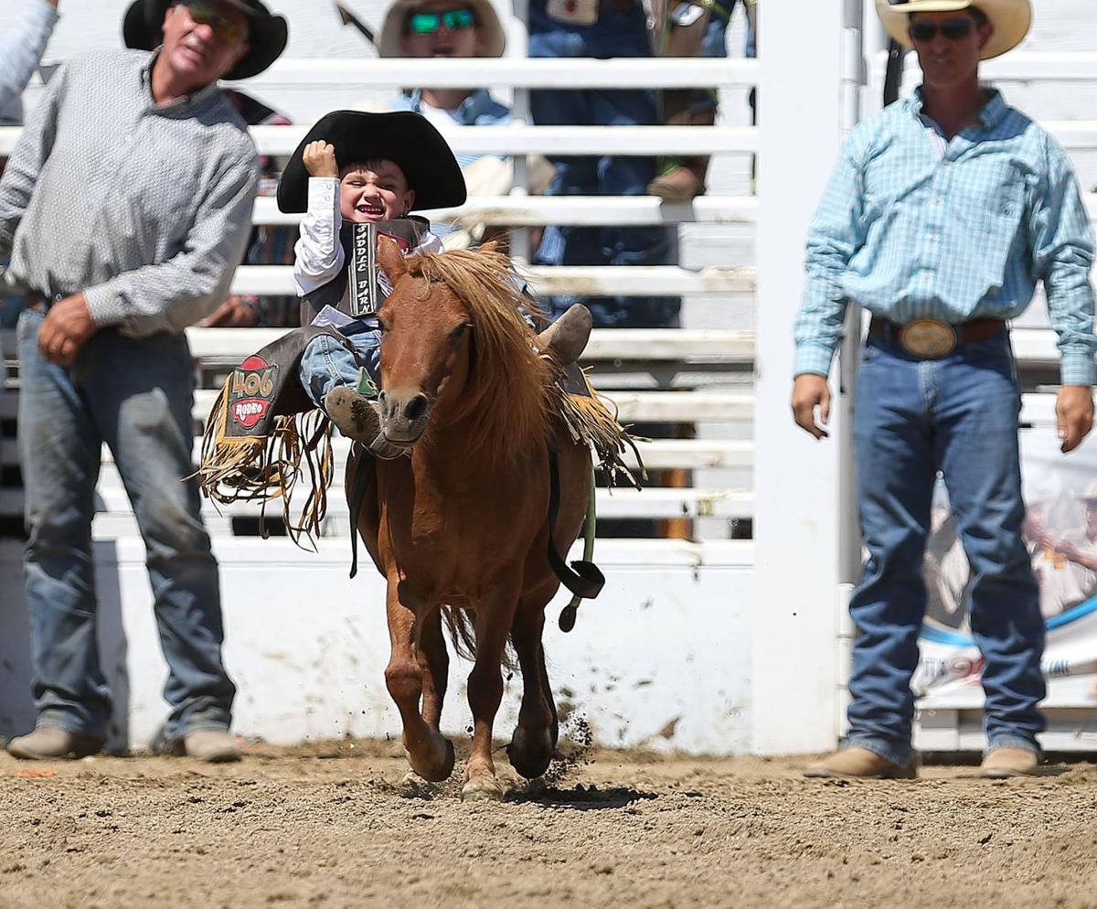 Mini Buckers conclude East Helena Rodeo week | Rodeo | 406mtsports.com