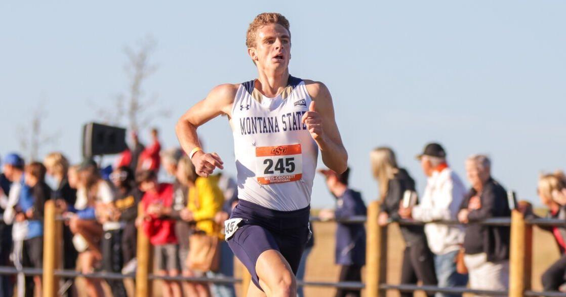 Montana State's Duncan Hamilton earns Big Sky men’s cross country ...