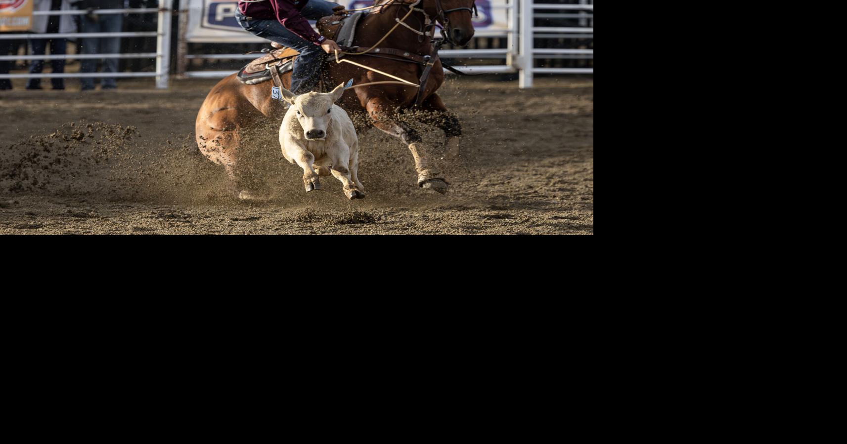 Photos: Home of Champions Rodeo in Red Lodge