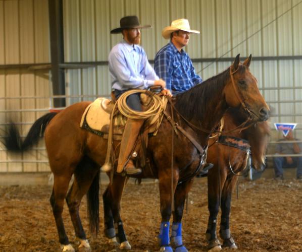Sankey Pro Rodeo searches for next generation of bucking horses