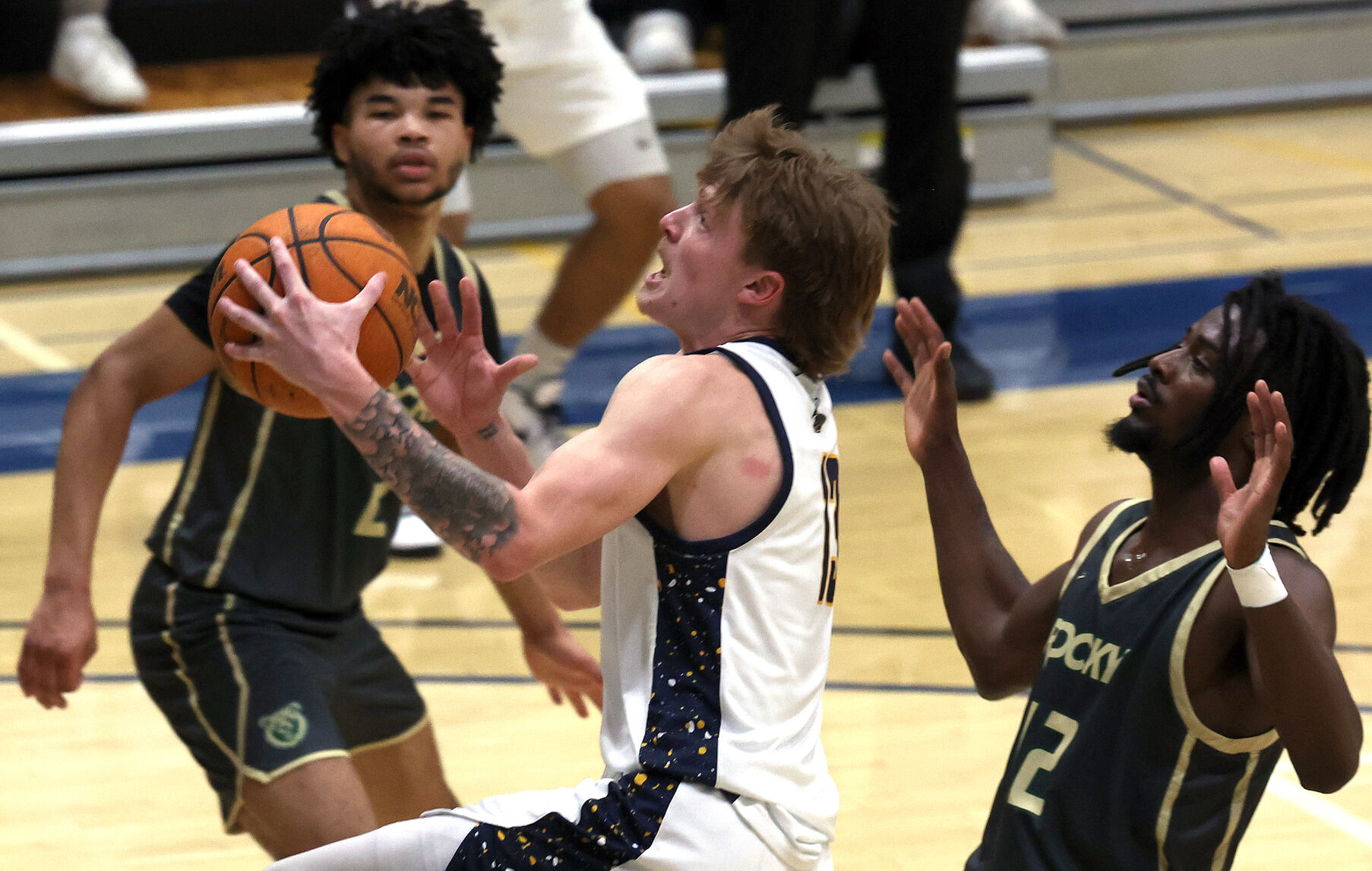 Photos: MSU Vs Rocky in Billings on Monday