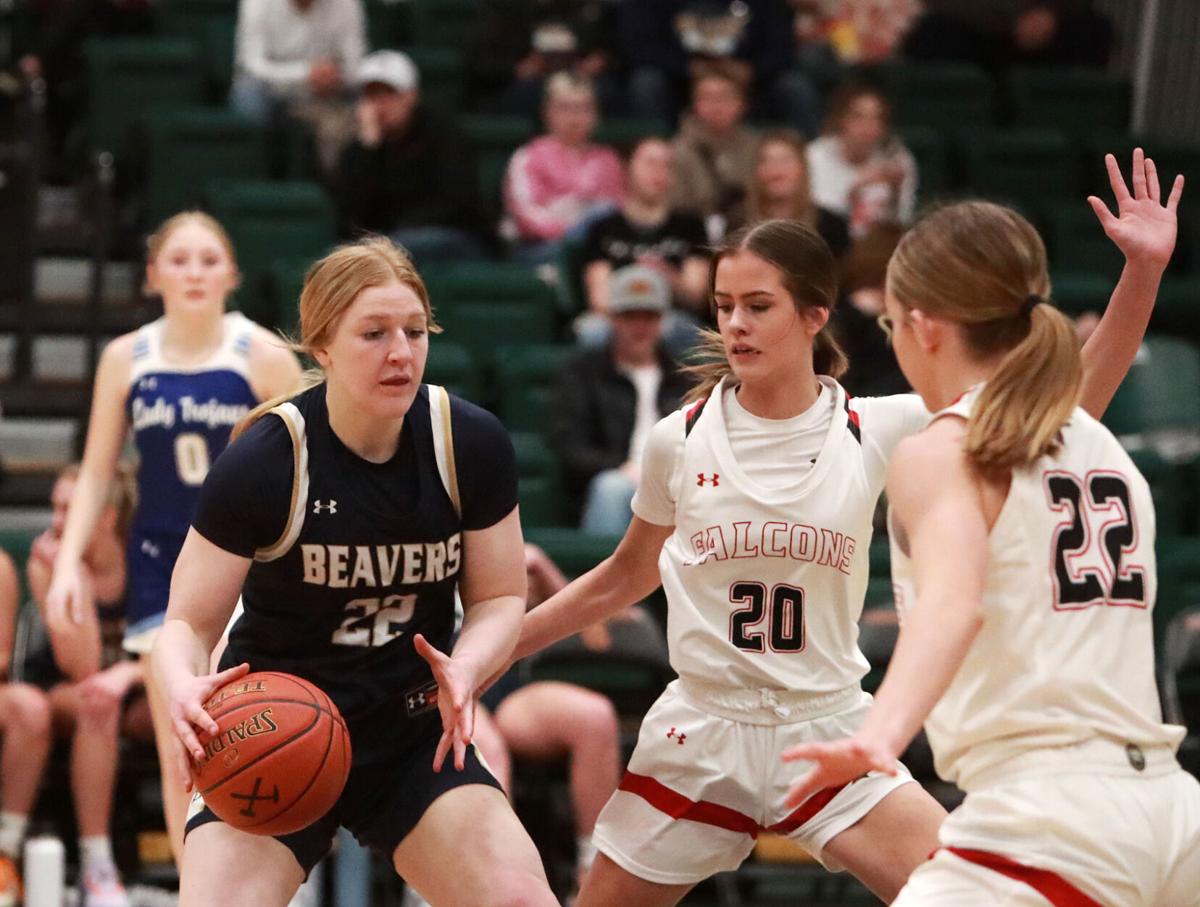 Butte area girls high school basketball preview