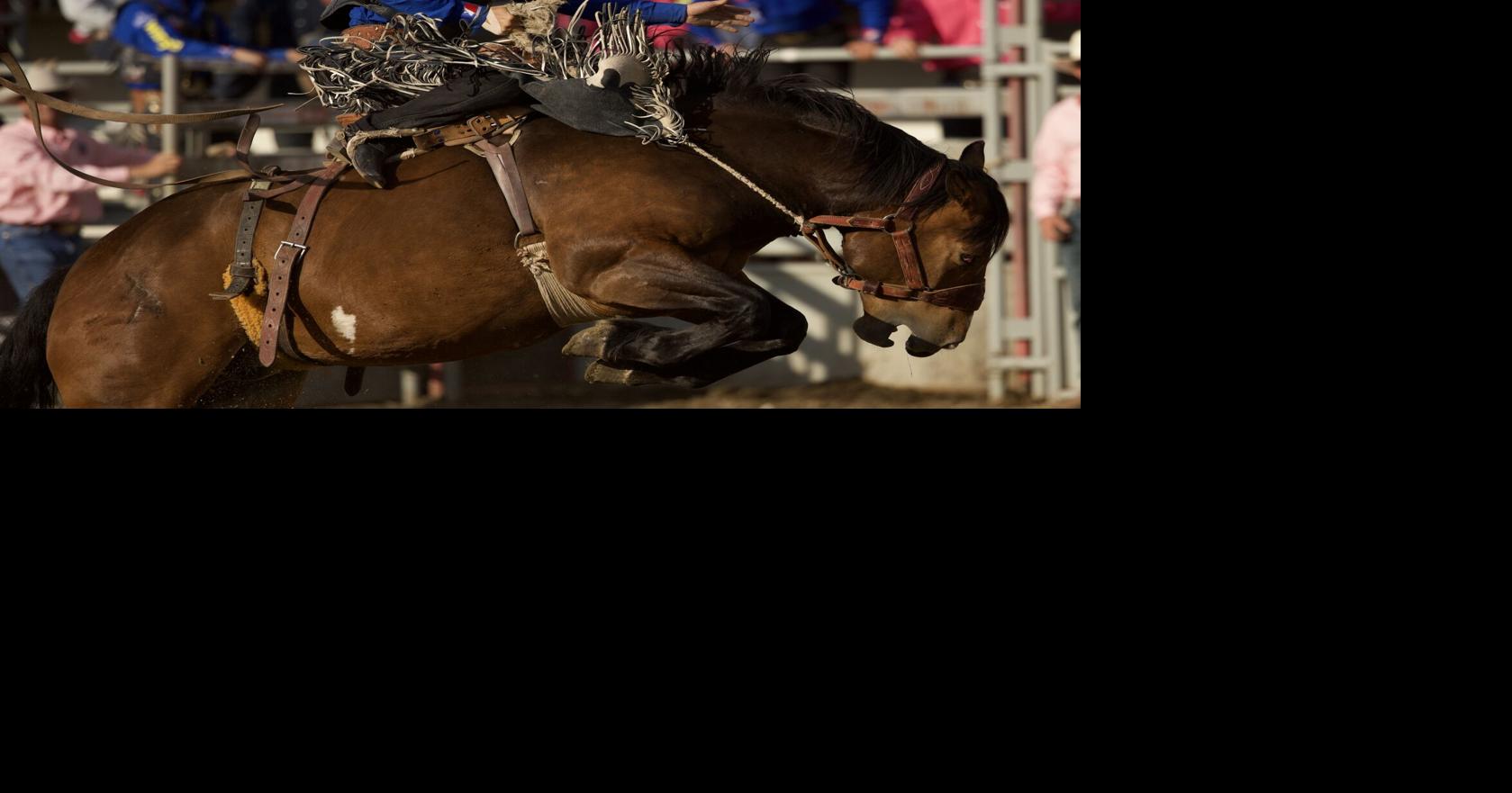Home of Champions Rodeo in Red Lodge