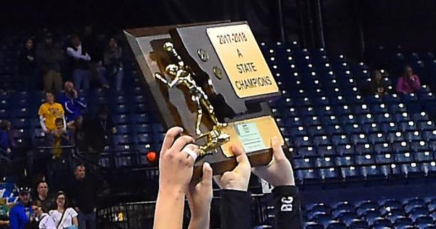 Guide to the 2018 state volleyball tournament